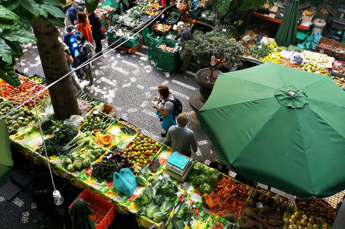 Reports - Impact on Urban Health