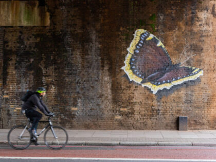 Impact on Urban Health - tackling health inequalities in cities